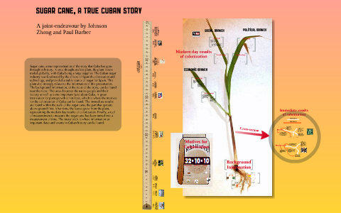 Cuba Colonization by Peter Johnson on Prezi