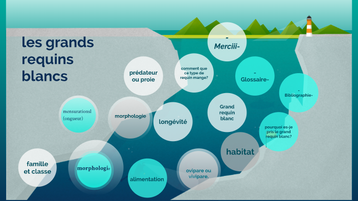 Les grands requins blancs by cassandra lapointe on Prezi