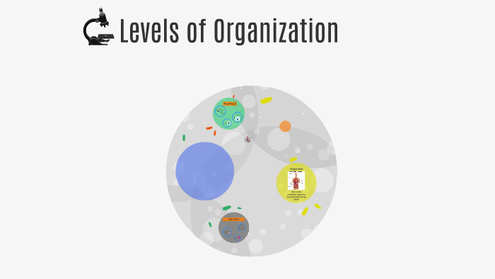Levels of Organization by Aurora bo on Prezi