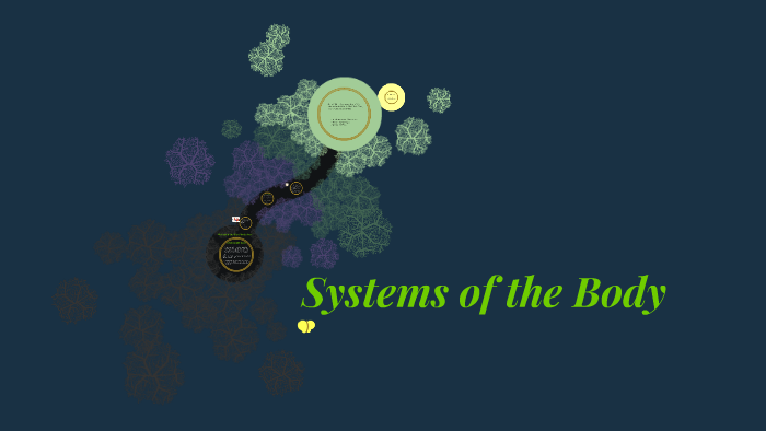 Systems of the Body by Jacob Vickery on Prezi