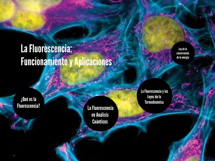 La Fluorescencia: Funcionamiento y Aplicaciones by Ana Fonseca on Prezi