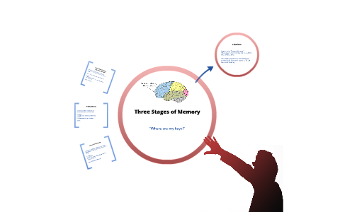 Memory Graphic Organizer by Todd Martinez on Prezi