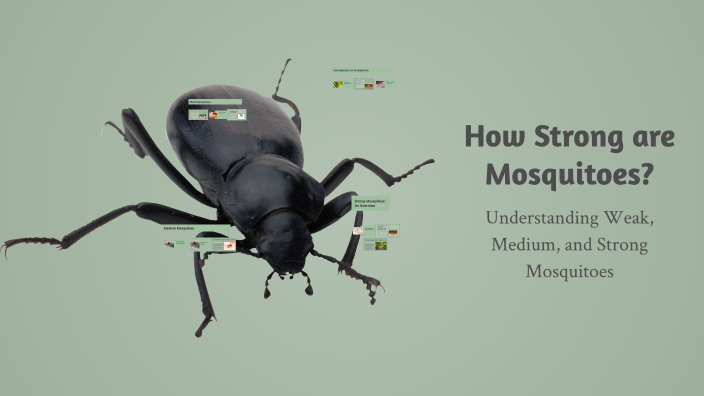 How Strong are Mosquitoes? by angel gracia on Prezi