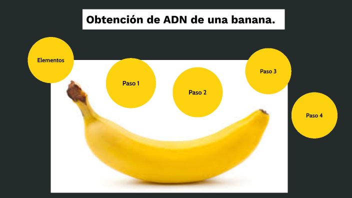 Banana Adn by Rocio Dappen on Prezi