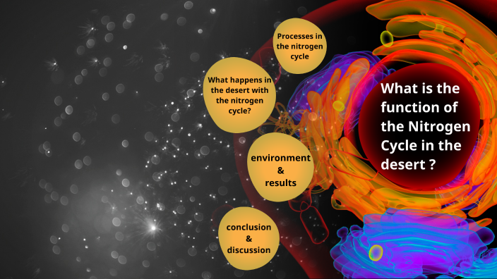 What is the function of the Nitrogen Cycle in the desert ? by Joselyn ...