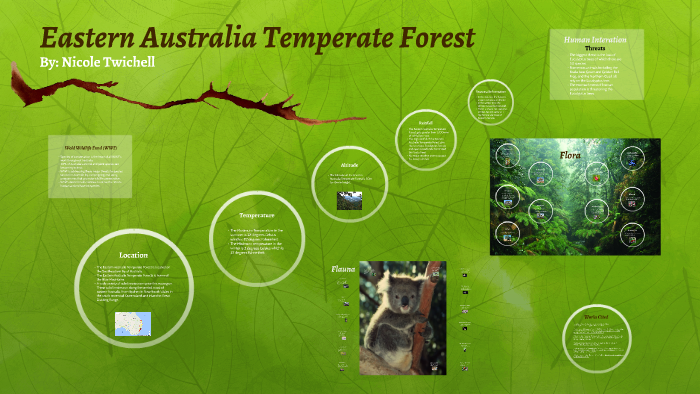 Eastern Australia Temperate Forest by Nicole Twichell on Prezi