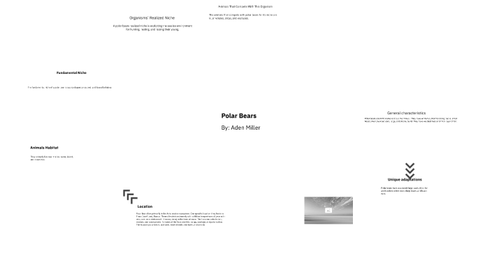 Niche Project by Aden Miller on Prezi