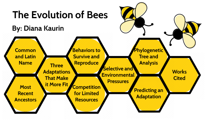 The Evolution of Bees by Diana Kaurin on Prezi