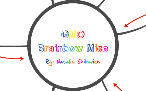 GMO Brainbow Mice by Natalia Skikavich on Prezi
