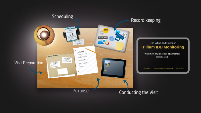 IDD Monitoring process by Tim Murphy on Prezi