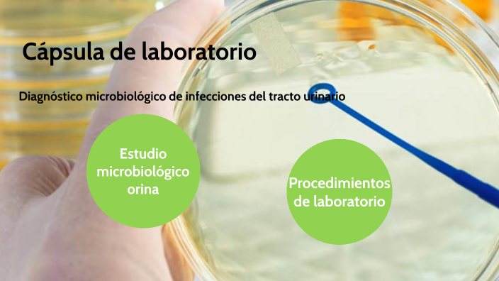 Cápsula de laboratorio by Matías Alejandro Reyes Moraga on Prezi