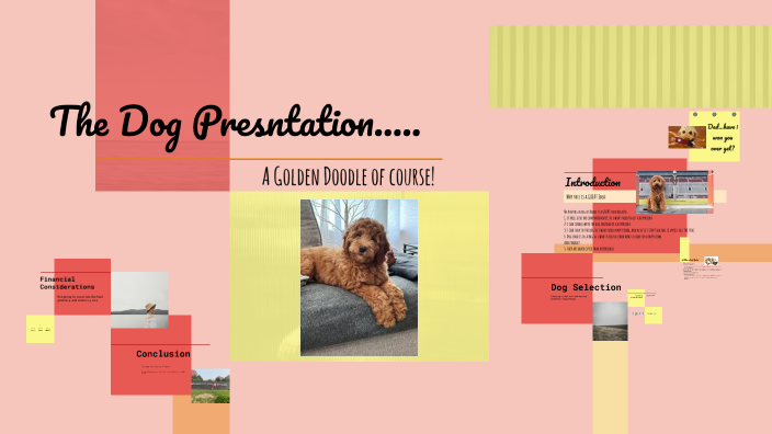 Zoe Dog Presentation by Zoe Chilton on Prezi