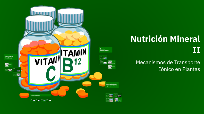 Nutrición Mineral II by Sebastian Alfredo Zuber Schachner on Prezi