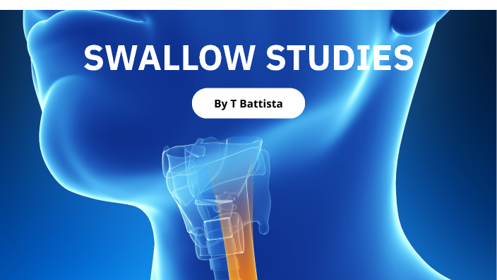 Swallow Studies by . . on Prezi
