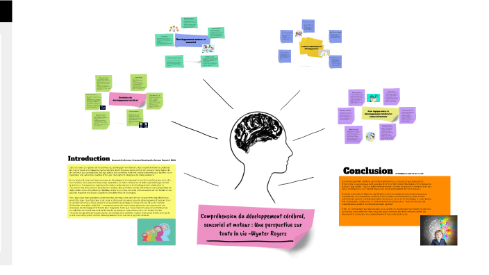 Brain Development by Wynter Rogers on Prezi
