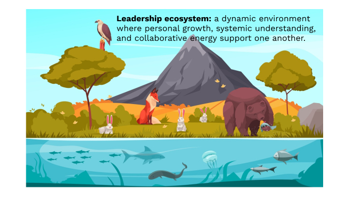 Leadership ecosystem: The beginning of my journey by Tim Trevithick on ...
