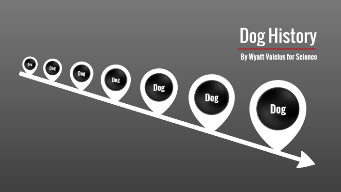 Dog Timeline by Wyatt Vaicius on Prezi