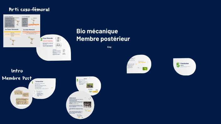 Bio mécanique anat post by Emy Antonio on Prezi