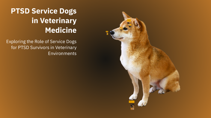 PTSD Service Dogs in Veterinary Medicine by Kaitlyn Doyle on Prezi