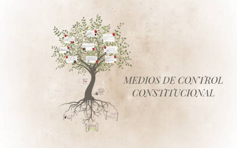 MEDIOS DE CONTROL CONSTITUCIONAL by guadalupe gutiérrez avila on Prezi