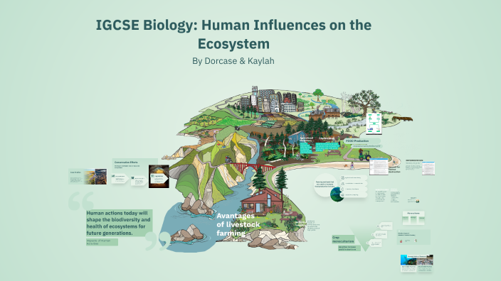 IGCSE Biology: Human Influences on the Ecosystem by Kaylah Purity on Prezi