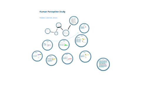 Naff, Terry, McCool Perception Study by Holden Naff on Prezi