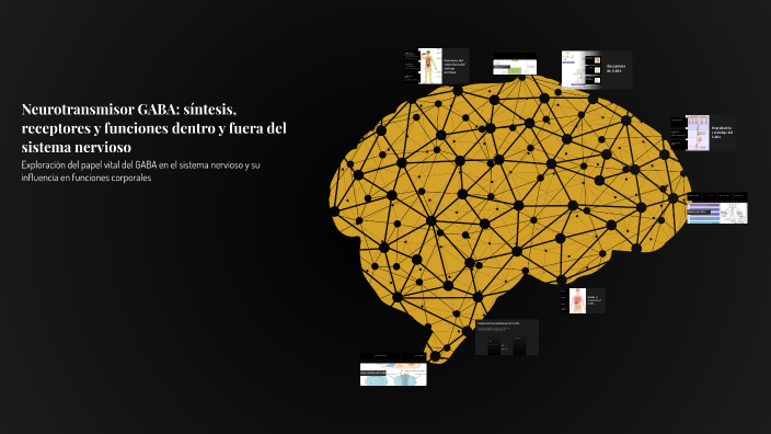 Neurotransmisor GABA: síntesis, receptores y funciones dentro y fuera ...