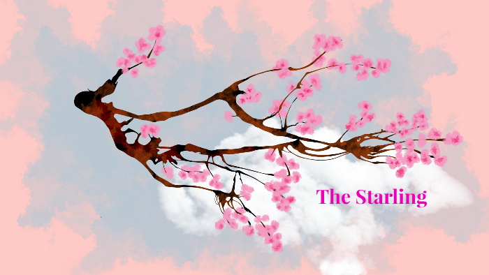 The Starling by Luke Pehlman on Prezi