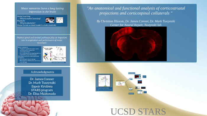 UCSD STARS summer presentation, 2015 by Chris Hissom on Prezi