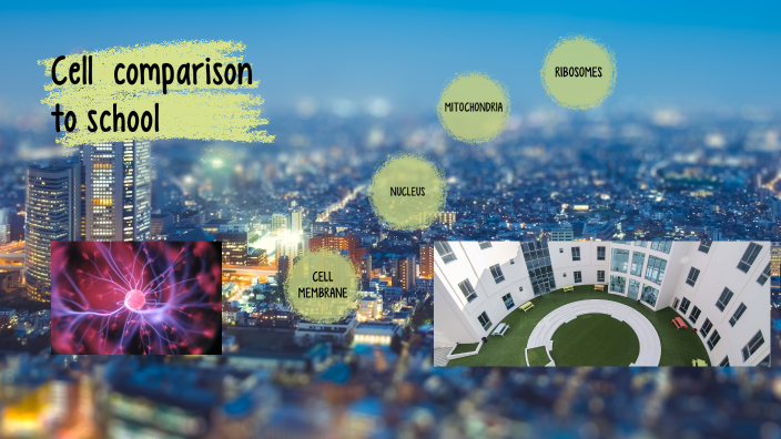 Cell comparison to school by Ayesha Ansari on Prezi