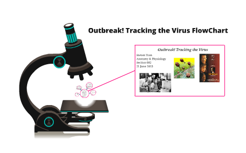 Outbreak! Tracking the Virus Flowchart by Steven Tran on Prezi