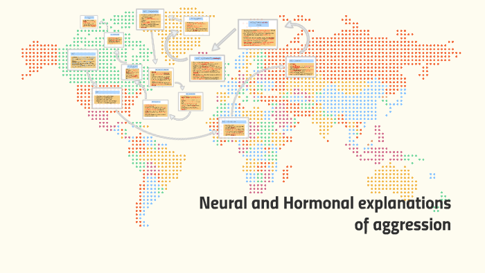 Neural and Hormonal explanations of aggression by Ellie Baker on Prezi