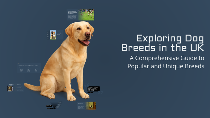 Exploring Dog Breeds in the UK by christine xtine on Prezi