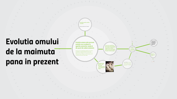 Evolutia omului de la maimuta by anastasia lazaroiu on Prezi