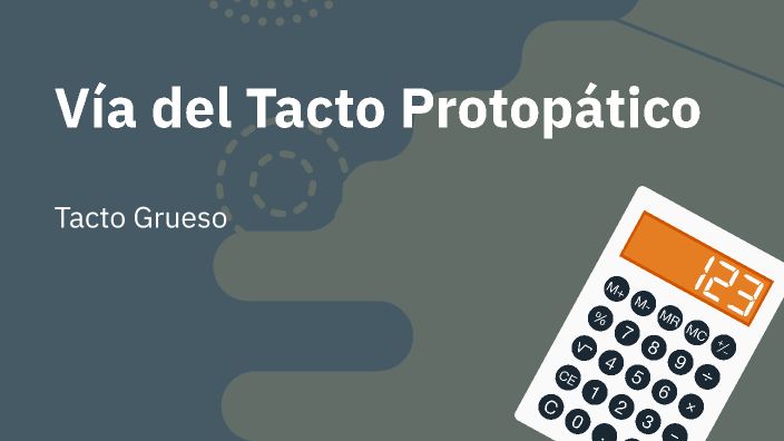 Vía del Tacto Protopático by Maria Antonia Santos on Prezi