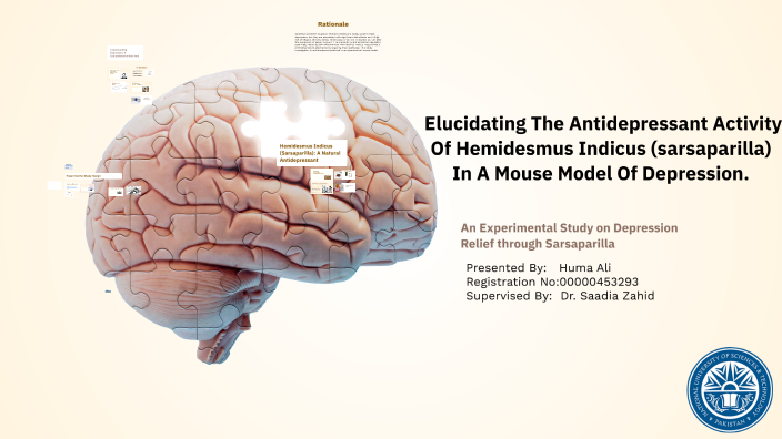 Exploring the Antidepressant Effects of Hemidesmus Indicus by Huma Ali ...
