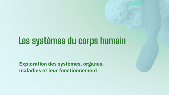 Les systèmes du corps humain by Lynn-Marnelle Vilus élève on Prezi