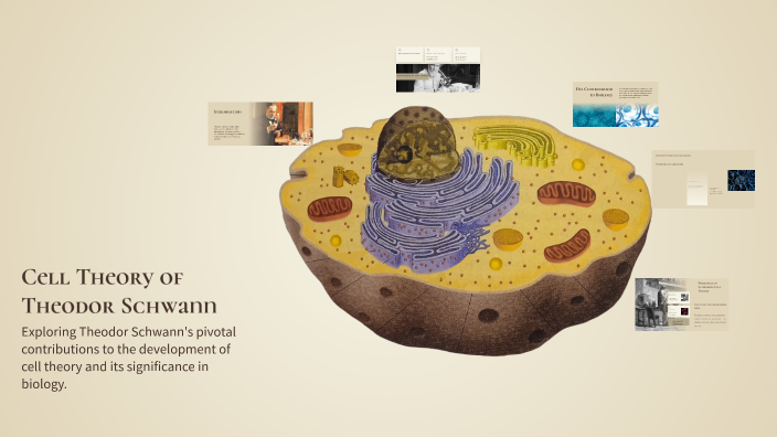 Cell Theory of Theodor Schwann by Sumaida Jikilani on Prezi