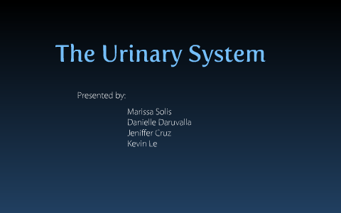 Urinary Project by Marissa Solis on Prezi
