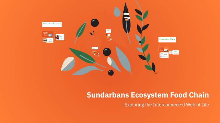Sundarbans Ecosystem Food Chain by Mirza Khairun Nahar Mily on Prezi