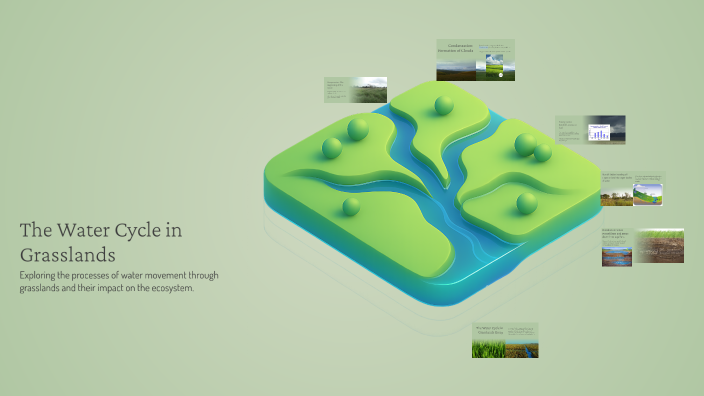 The Water Cycle in Grasslands by Noah Weber on Prezi