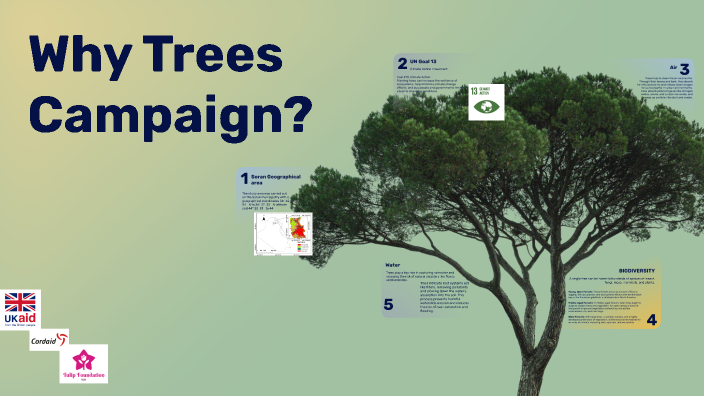 Why Trees Campaign? by Mzgin Mahde Sleman on Prezi