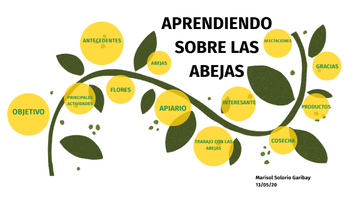 Abejas by Marisol Solorio on Prezi