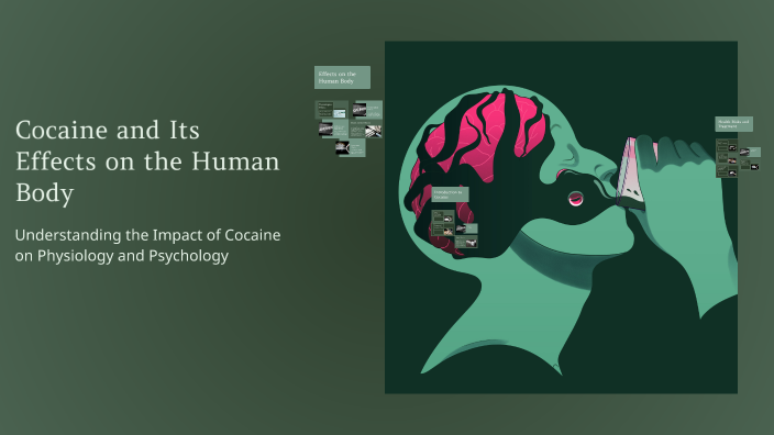 Cocaine and Its Effects on the Human Body by Kaydel Thomas on Prezi