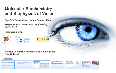 Molecular Biochemistry and Biophysics of Vision by Kevin Hwang on Prezi