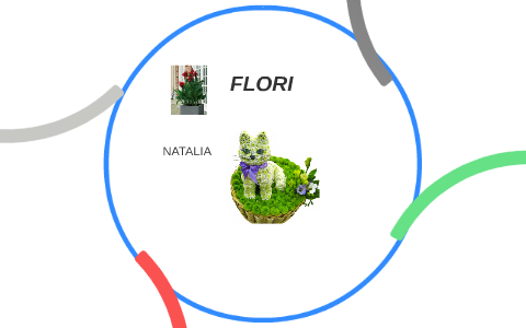 FLORI by natalia popa on Prezi