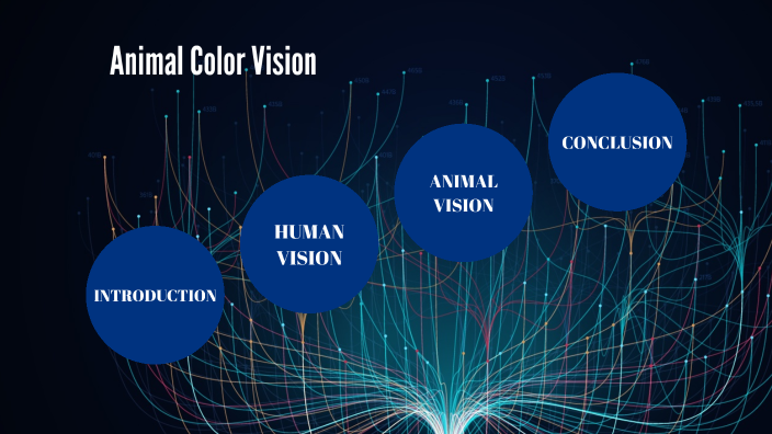 Animal Color Vision Project by Madeleine Norman on Prezi