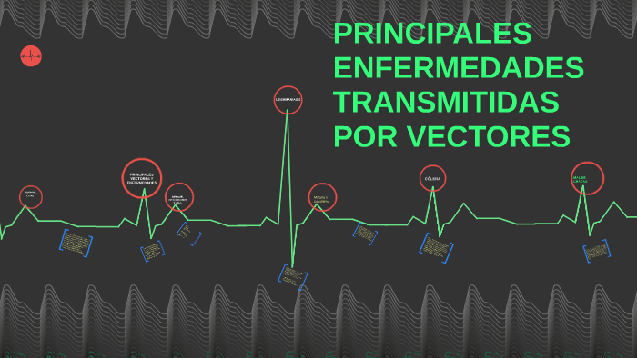 PRINCIPALES ENFERMEDADES TRANSMITIDAS POR VECTORES by Josué Caleb Díaz ...