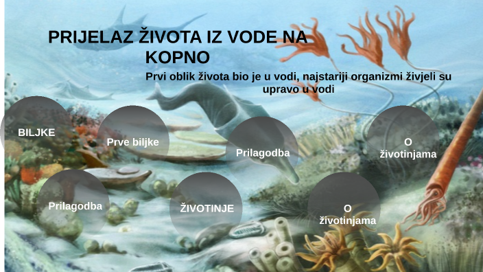 PRIJELAZ ŽIVOTA IZ VODE NA KOPNO by Marta Varga on Prezi