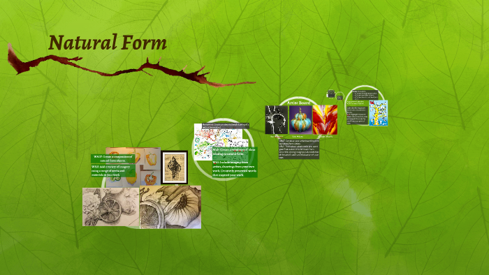 WALT: Create a composition of natural form objects. by Aoife James on Prezi